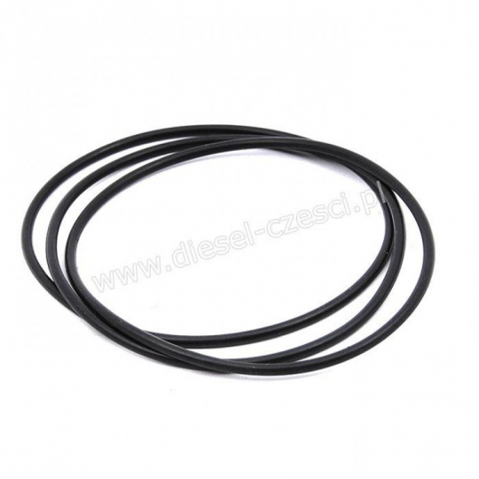 CUMMINS 6CT ISC O-RING / ProPartsDiesel 3969698