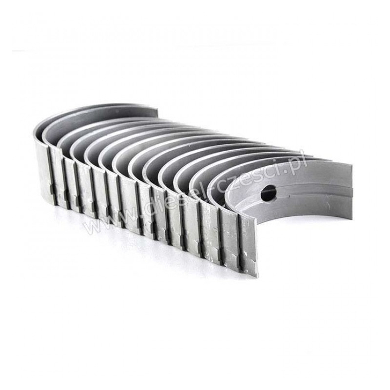 MAIN BEARINGS