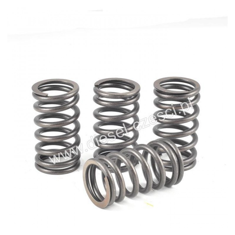 VALVE SPRINGS / CAPS / LOCKS