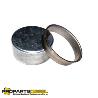 CRANKSHAFT OIL SEALS