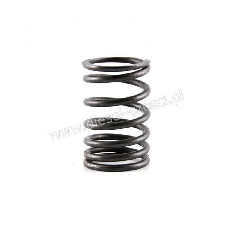VALVE SPRINGS / CAPS / LOCKS
