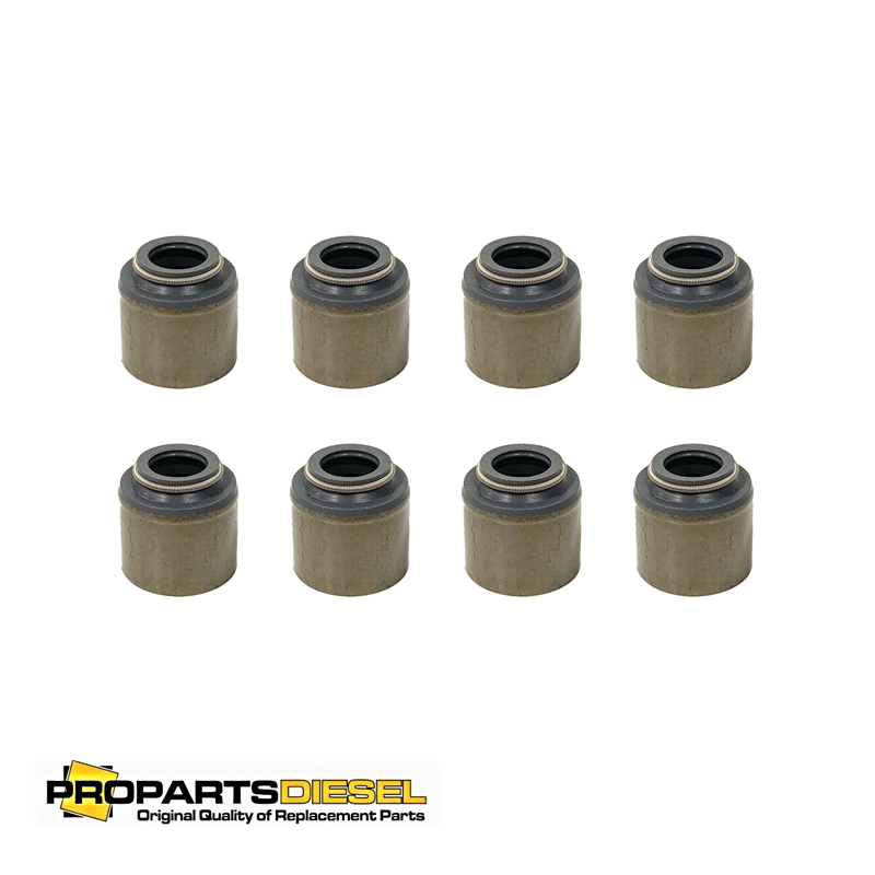 VALVE OIL SEALS