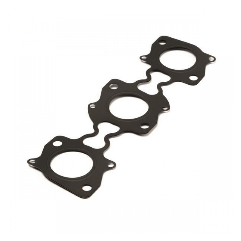 MANIFOLD GASKETS