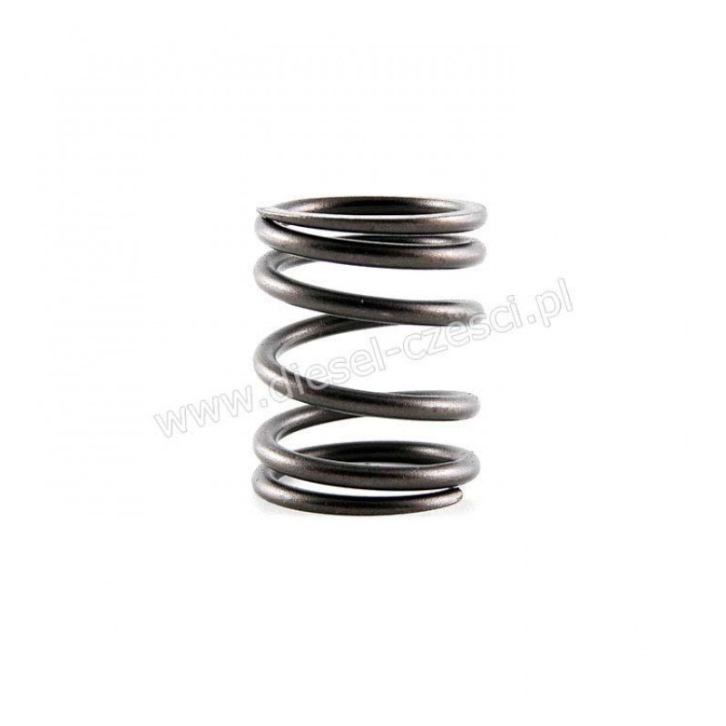 VALVE SPRINGS / CAPS / LOCKS
