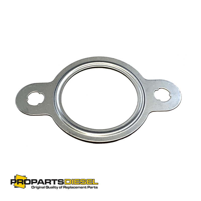 MANIFOLD GASKETS