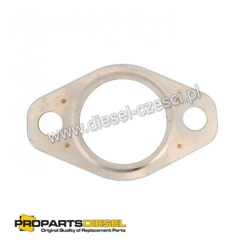 MANIFOLD GASKETS
