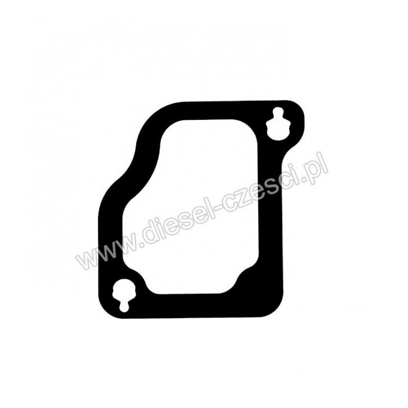 MANIFOLD GASKETS