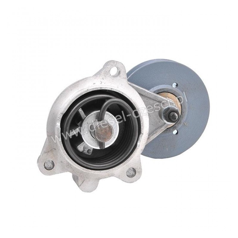 BELT TENSIONERS / ROLLY