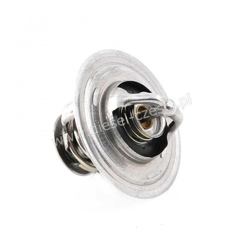 THERMOSTATS / GASKETS