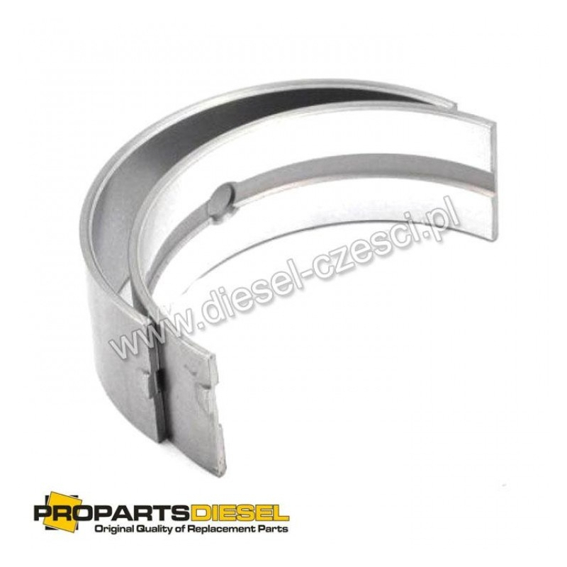 MAIN BEARINGS