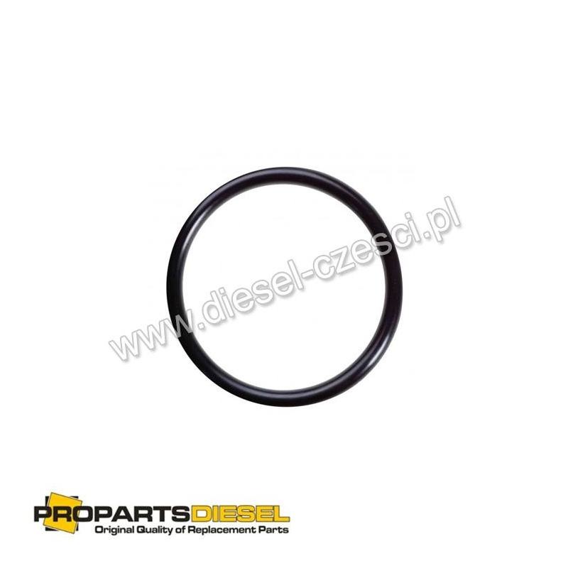 CUMMINS, TURBO OIL DRAIN CONNECTION / PPD-3934084