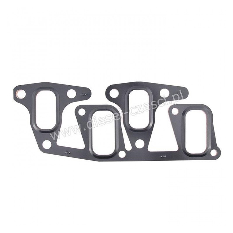 MANIFOLD GASKETS