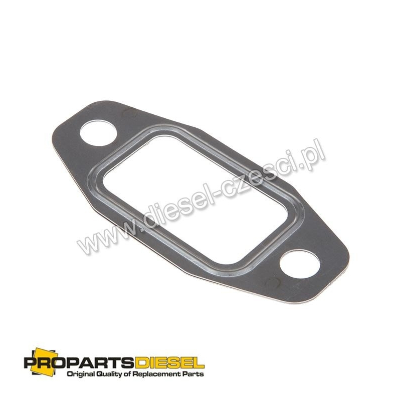 MANIFOLD GASKETS