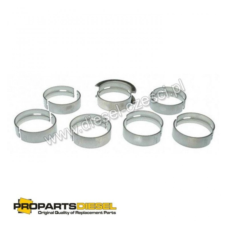 MAIN BEARINGS