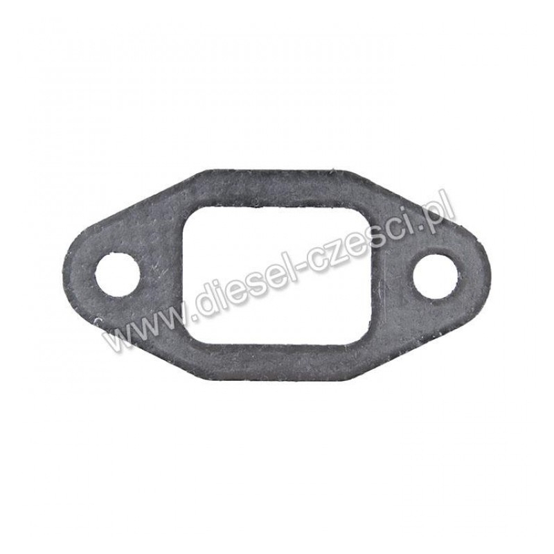 MANIFOLD GASKETS